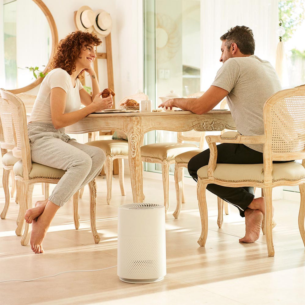 Beurer LR 220 Air Purifier | Clean Air for Allergy Sufferers | Filters ...